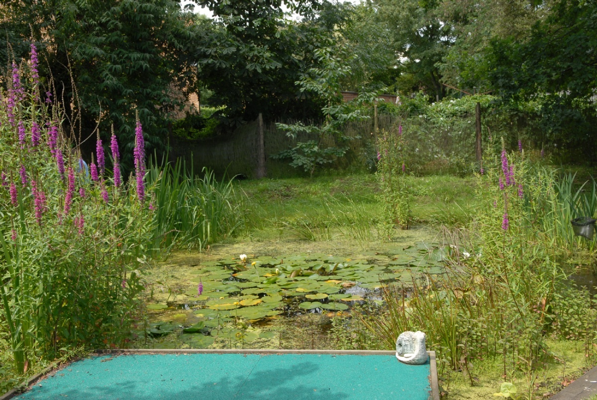 Riverbridge Primary School - Our Beautiful Grounds