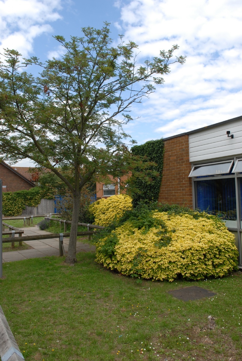 Riverbridge Primary School - Our Beautiful Grounds